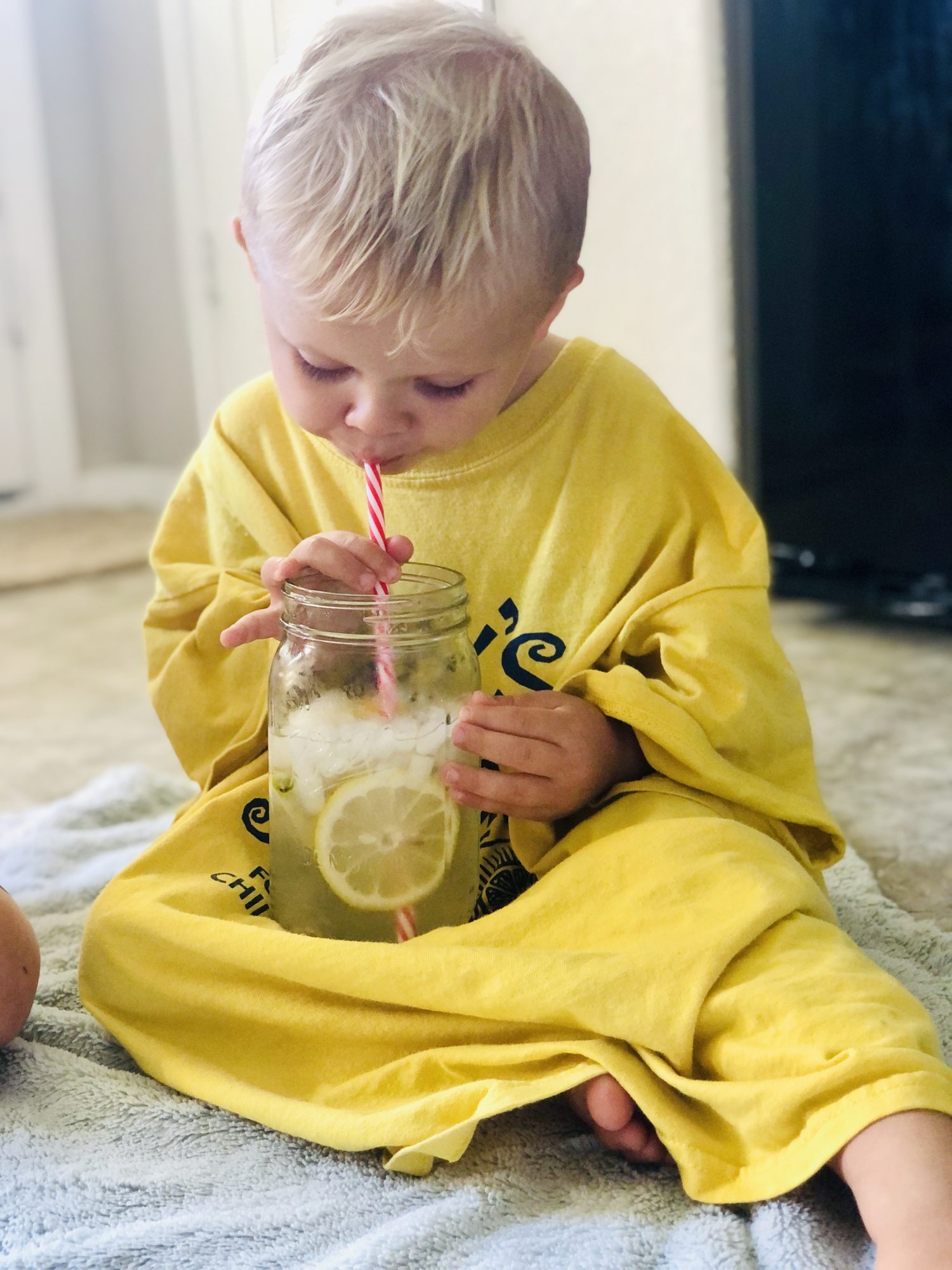 Freshly Squeezed Lemonade - The Dillard Family